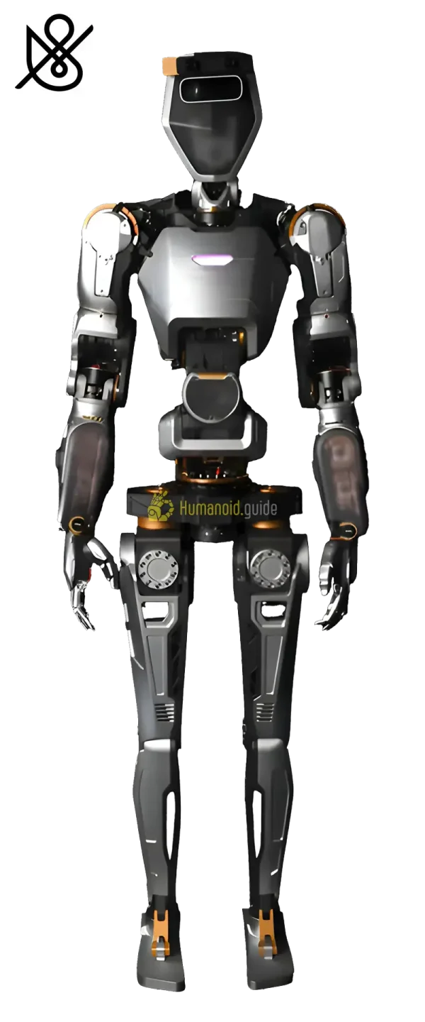 Phoenix - Humanoid.guide