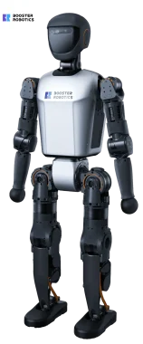 Humanoid robot guide