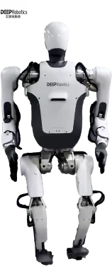 Humanoid robot guide