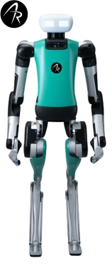 Humanoid robot guide