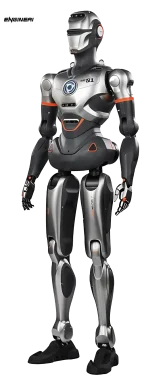 Humanoid robot guide