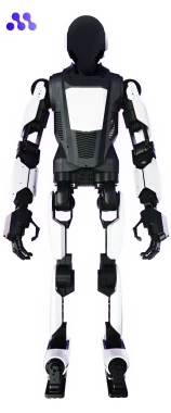 Humanoid robot guide