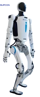Humanoid robot guide