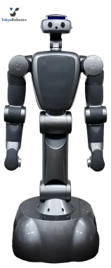 Humanoid robot guide