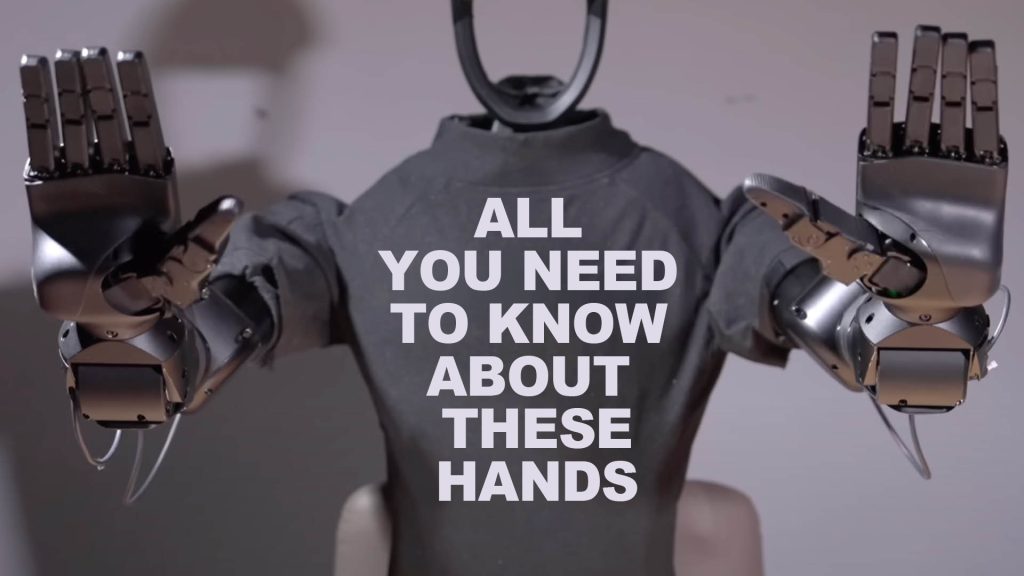 Introducing Vega - Humanoid.guide