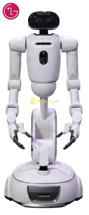 Humanoid robot guide