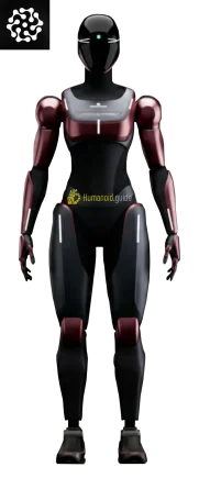 Humanoid robot guide