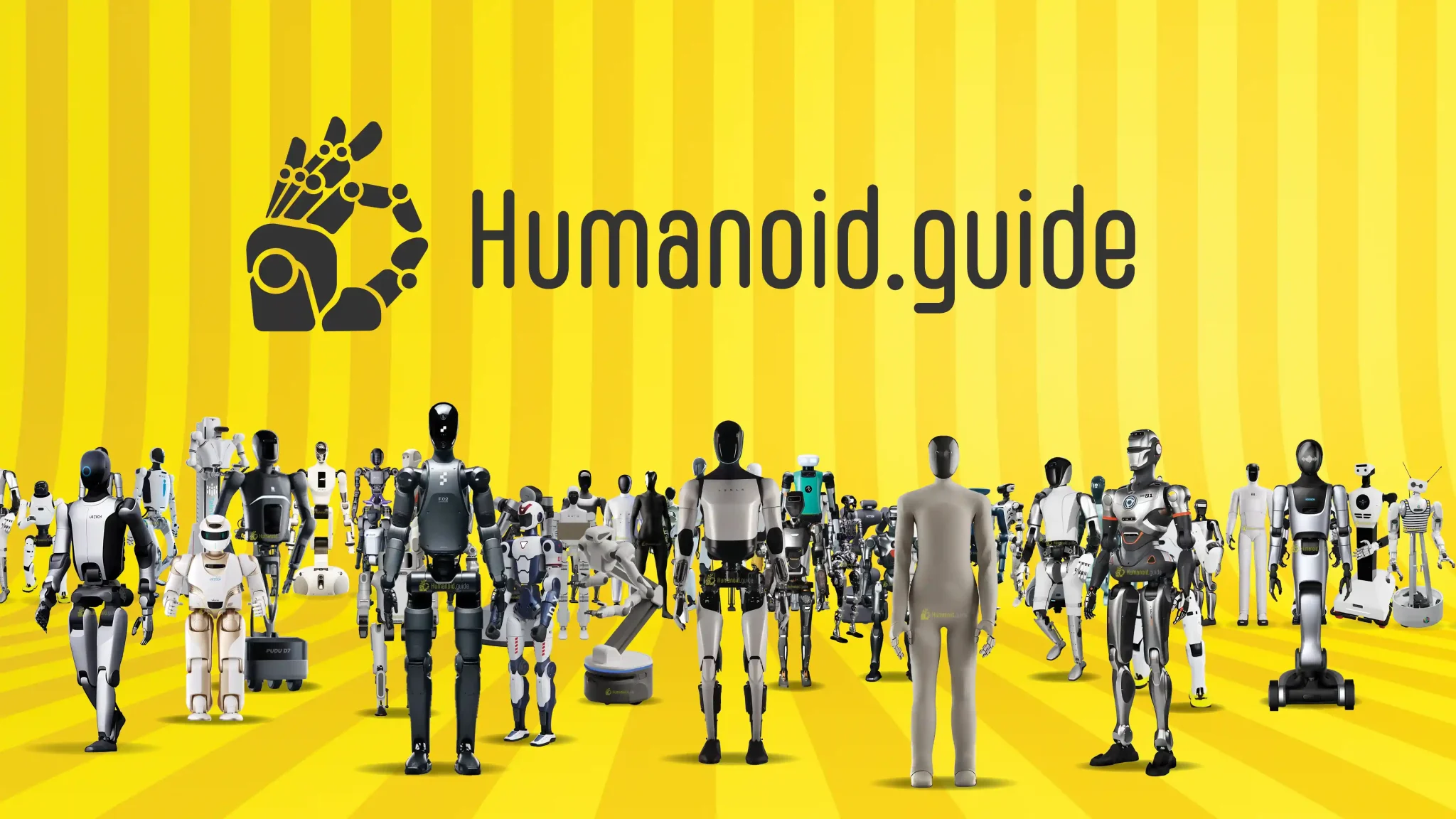 Humanoid robot guide