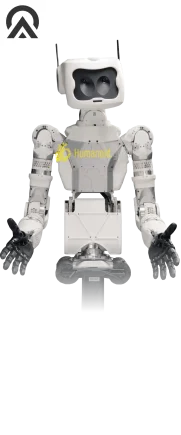 Humanoid robot guide